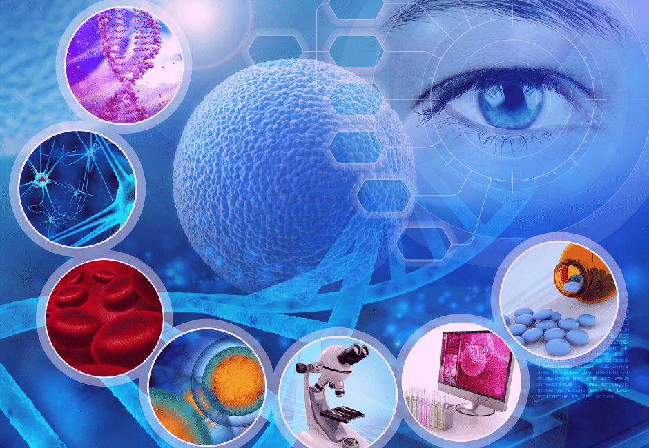 Research – Parkinson's Queensland